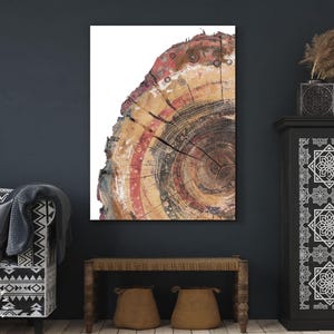 Tree Rings Canvas Print: Muted Colors Tree Trunk Wall Art - Etsy