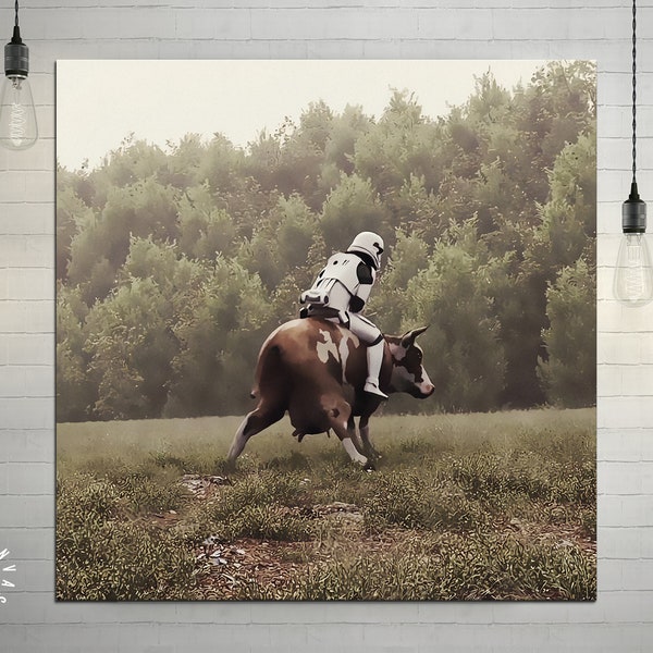 Stormtrooper Print - Etsy