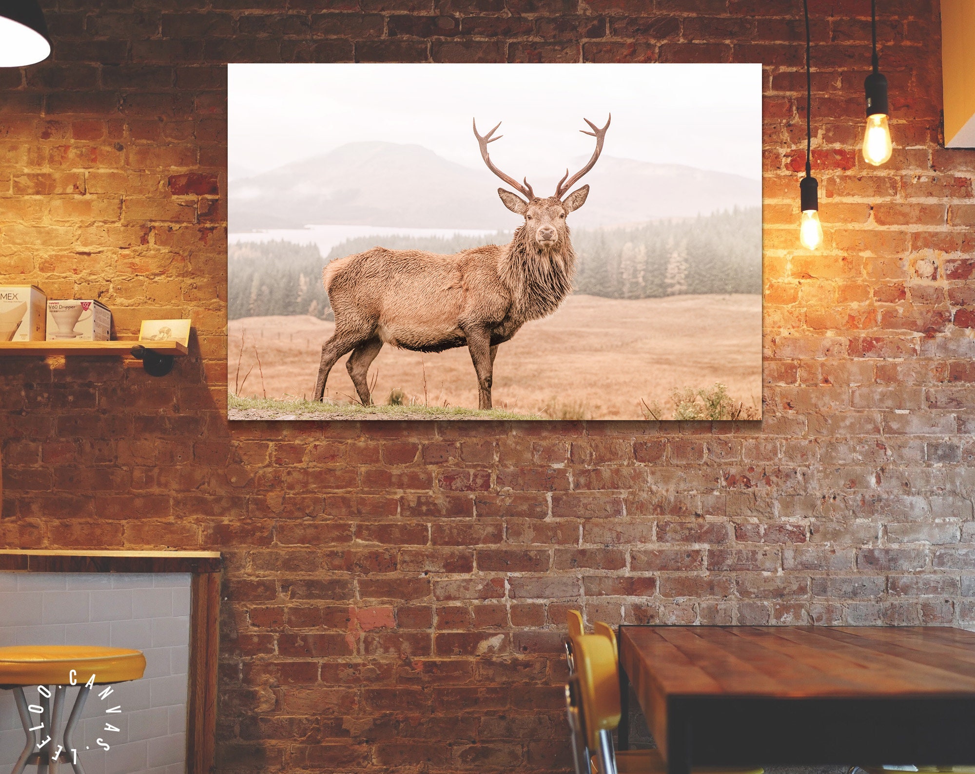 Wild Scottish Stag Canvas Print // Portrait of a Free and Wild Scottish ...