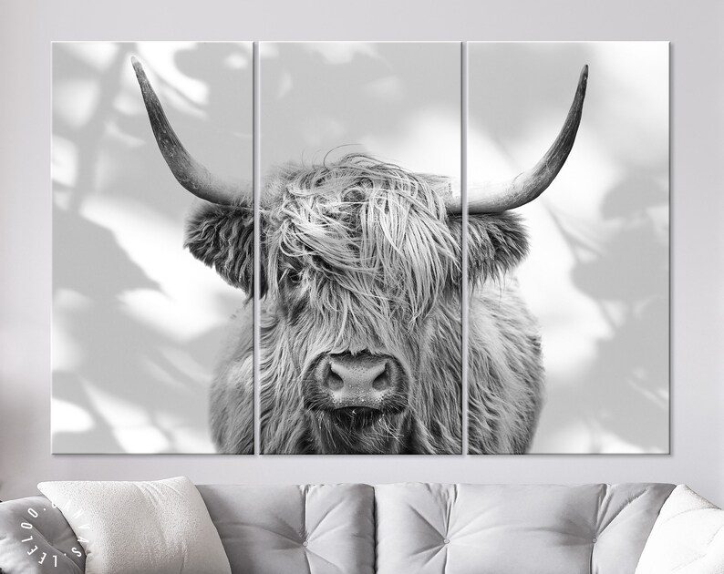 Highland Cow Shadow Canvas Print // Highland Cow Black and - Etsy