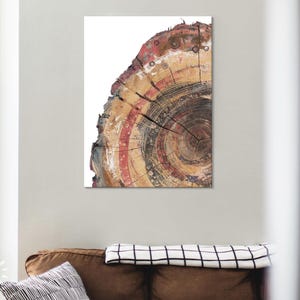 Tree Rings Canvas Print: Muted Colors Tree Trunk Wall Art - Etsy