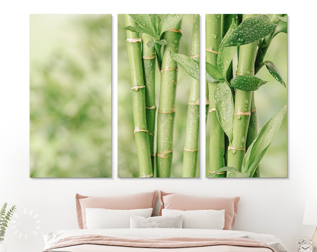 Bamboo Canvas Print // Beautiful Green Bamboo Stems Wall Art - Etsy