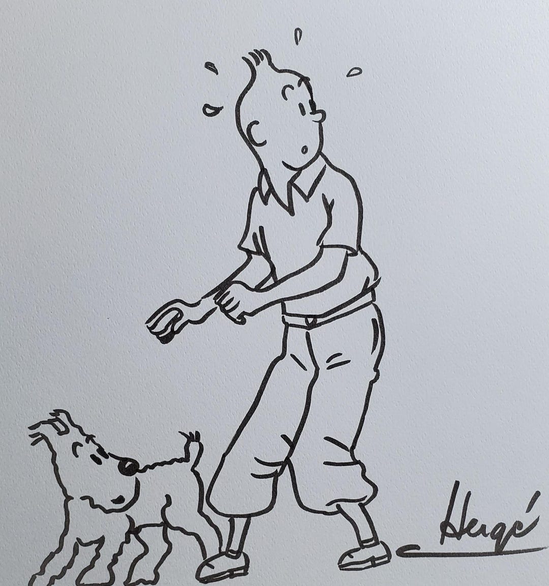 Vintage Tintin Ink Drawing: Hergé Comic Art, Snowy - Etsy UK