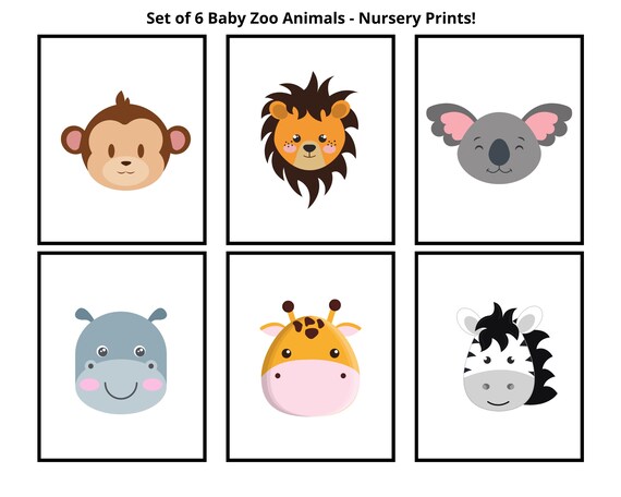 6 Zoo Animals