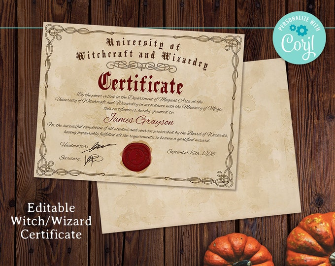 THE WIZARD of OZ Certificate Certifications Diploma - Etsy Norway