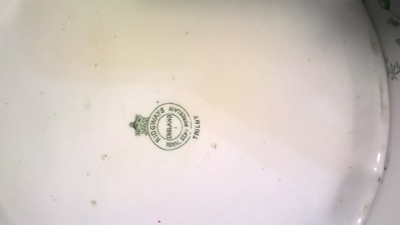 Vintage Rare Ridgways Royal Semi-porcelain "trilby" Green Floral ...