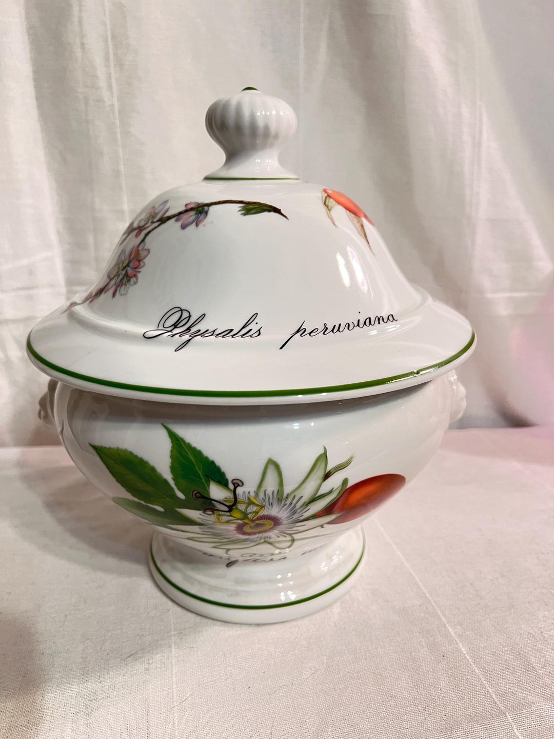 Vintage Lovely French Apilco Elysian Garden Series Porcelain Soup ...
