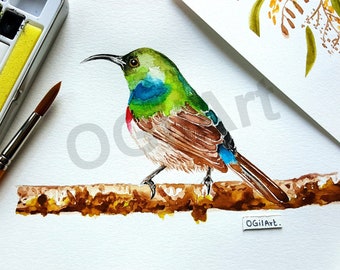 Sunbird Painting - Etsy