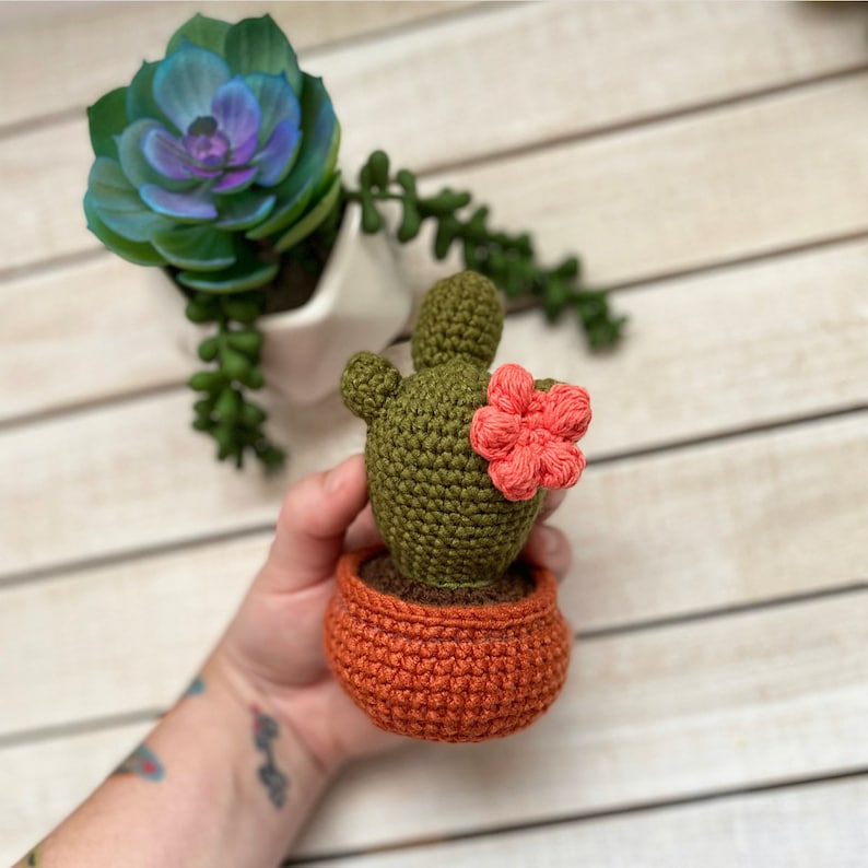 Desert Bloom Cactus Amigurumi Plush Crocheted Stuffed Animals Crochet ...