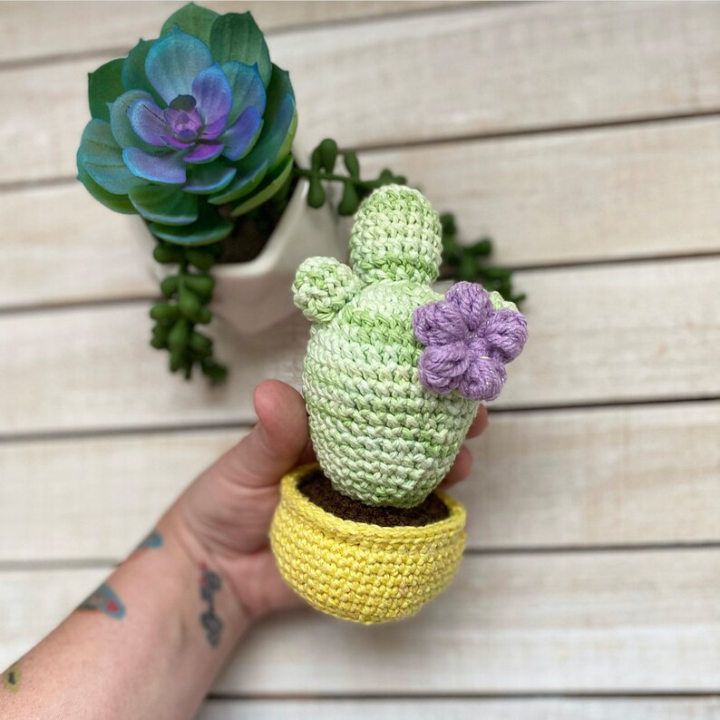 Desert Bloom Cactus Amigurumi Plush Crocheted Stuffed Animals Crochet ...