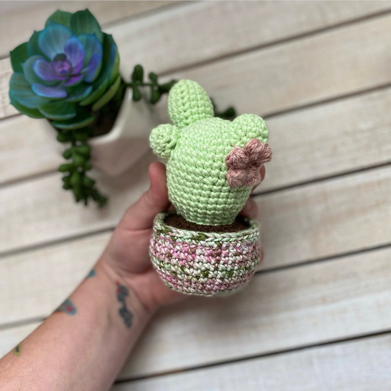 Desert Bloom Cactus Amigurumi Plush Crocheted Stuffed Animals Crochet ...