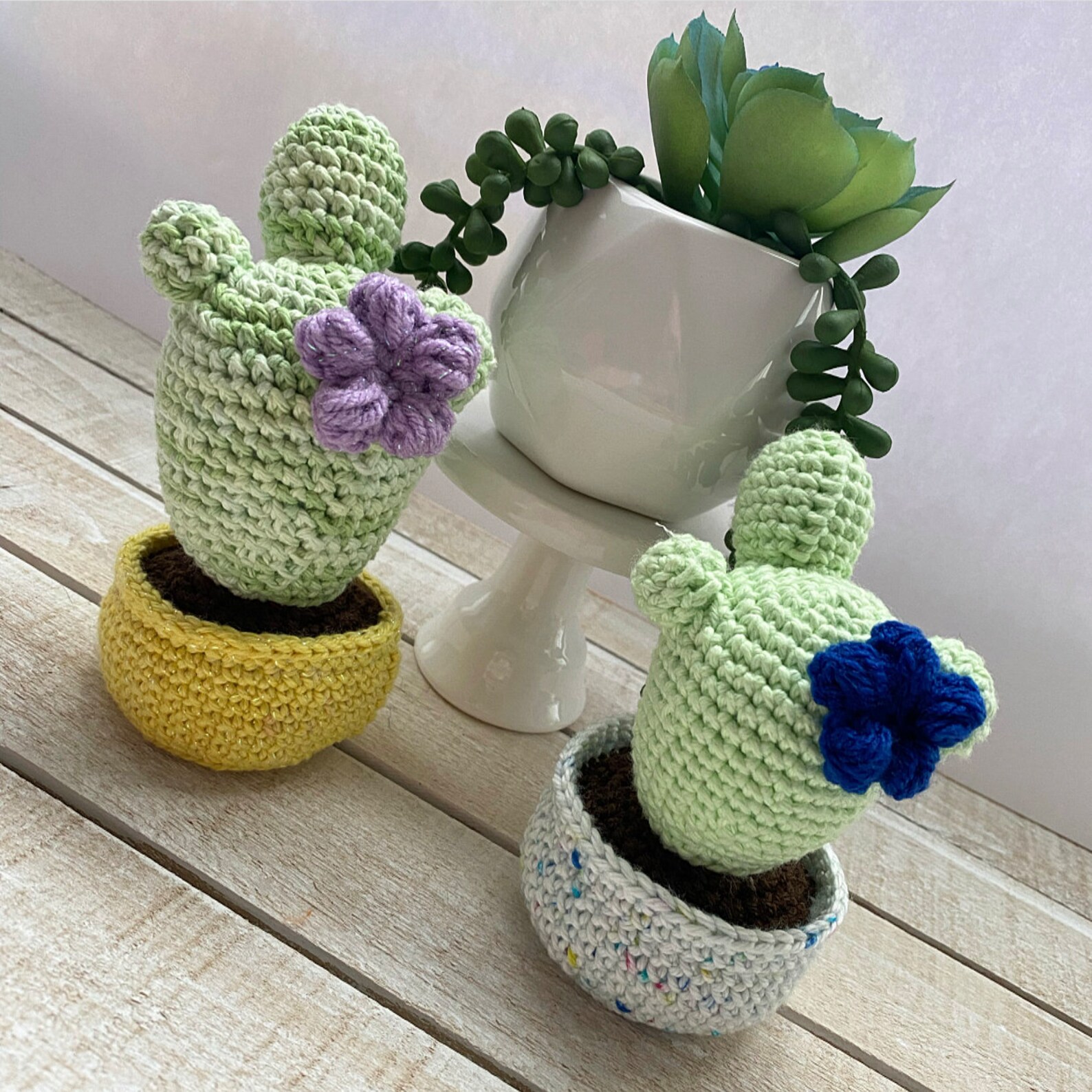 Desert Bloom Cactus Amigurumi Plush Crocheted Stuffed Animals Crochet ...