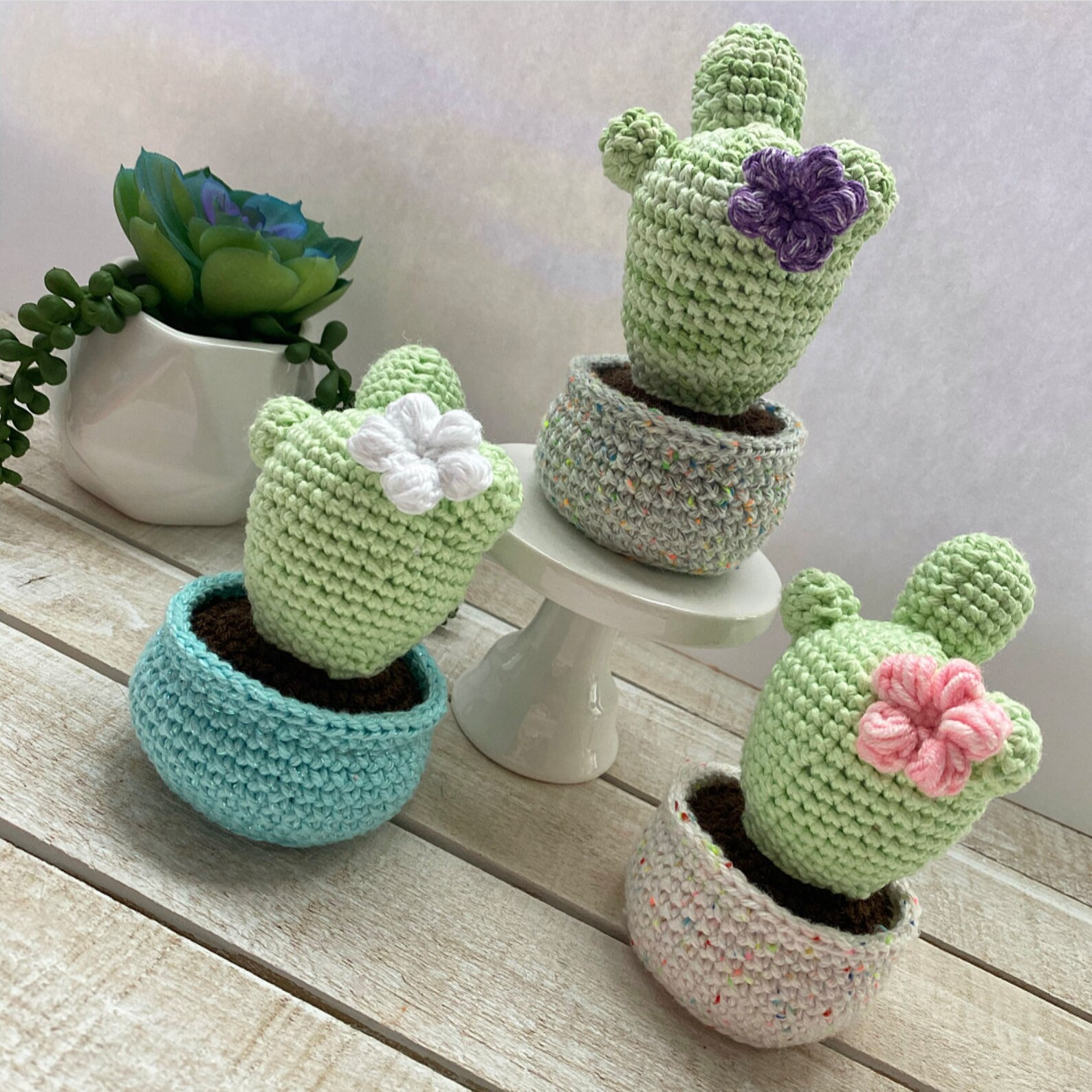 Desert Bloom Cactus Amigurumi Plush Crocheted Stuffed Animals Crochet ...