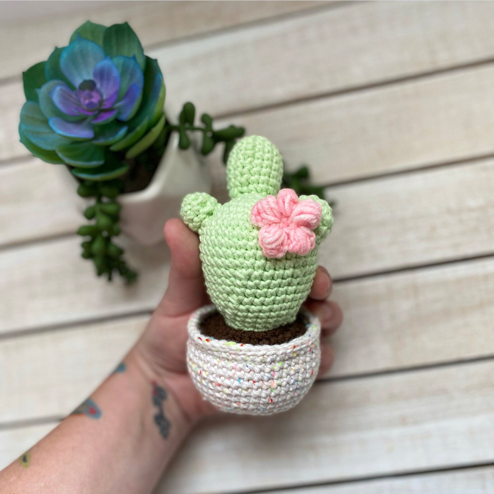 Desert Bloom Cactus Amigurumi Plush Crocheted Stuffed Animals Crochet ...