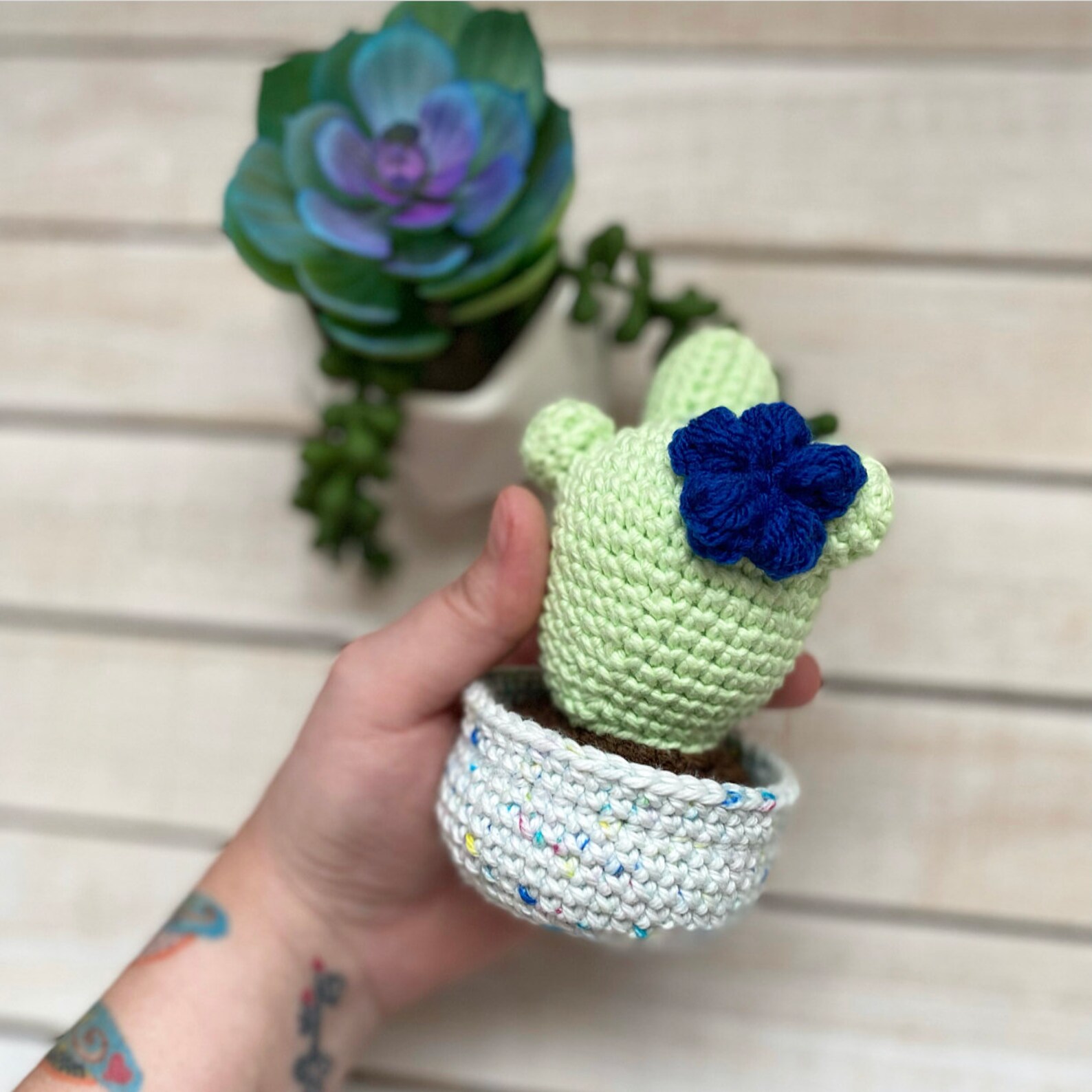 Desert Bloom Cactus Amigurumi Plush Crocheted Stuffed Animals Crochet ...