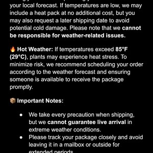 Deer Foot Fern (davallia Canariensis) – 6” Pot - Etsy