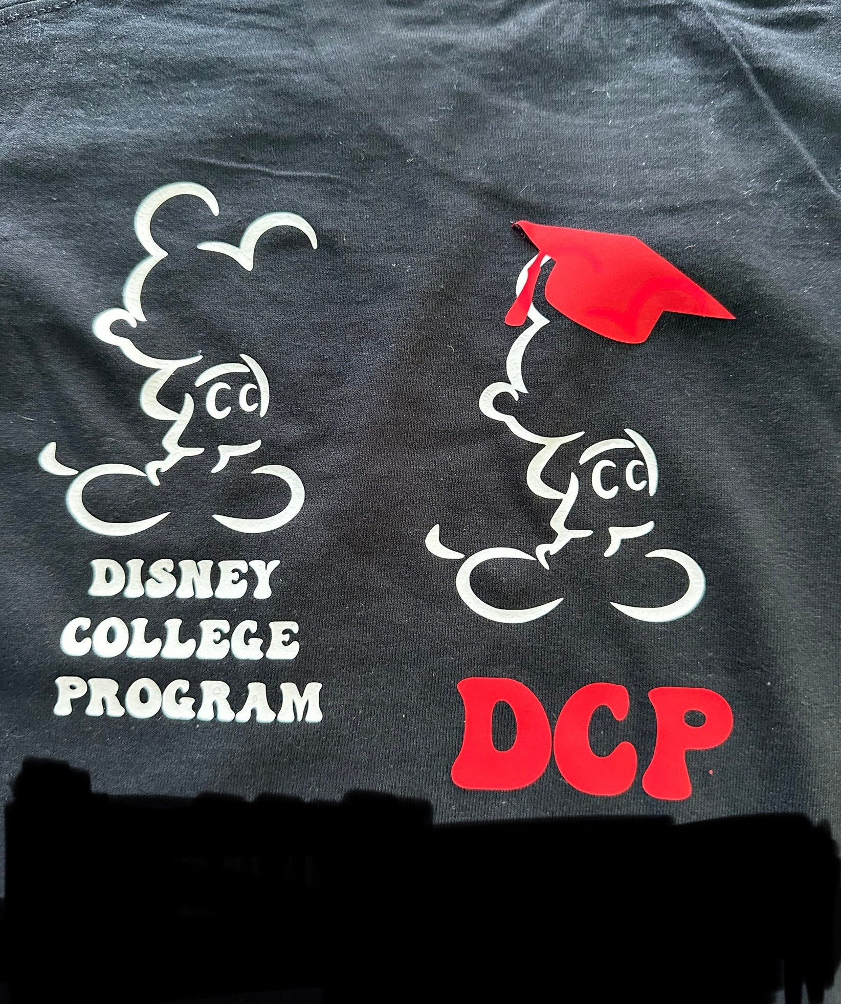 Disney College Program (dap) Parent Shirt - Etsy