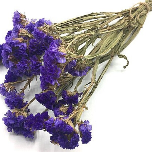 Statice Flowers - Etsy