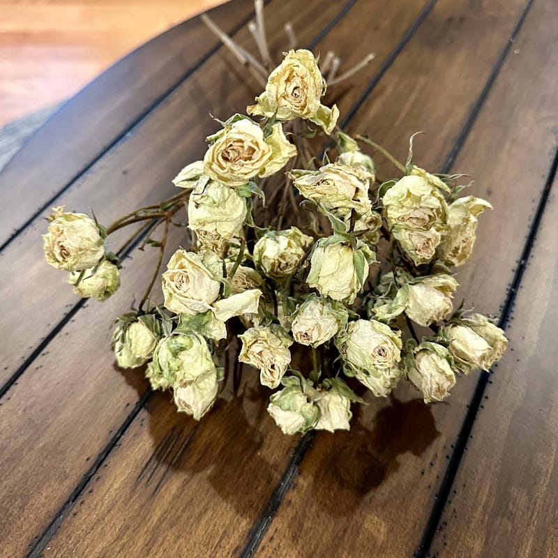 Dried White Roses - Etsy