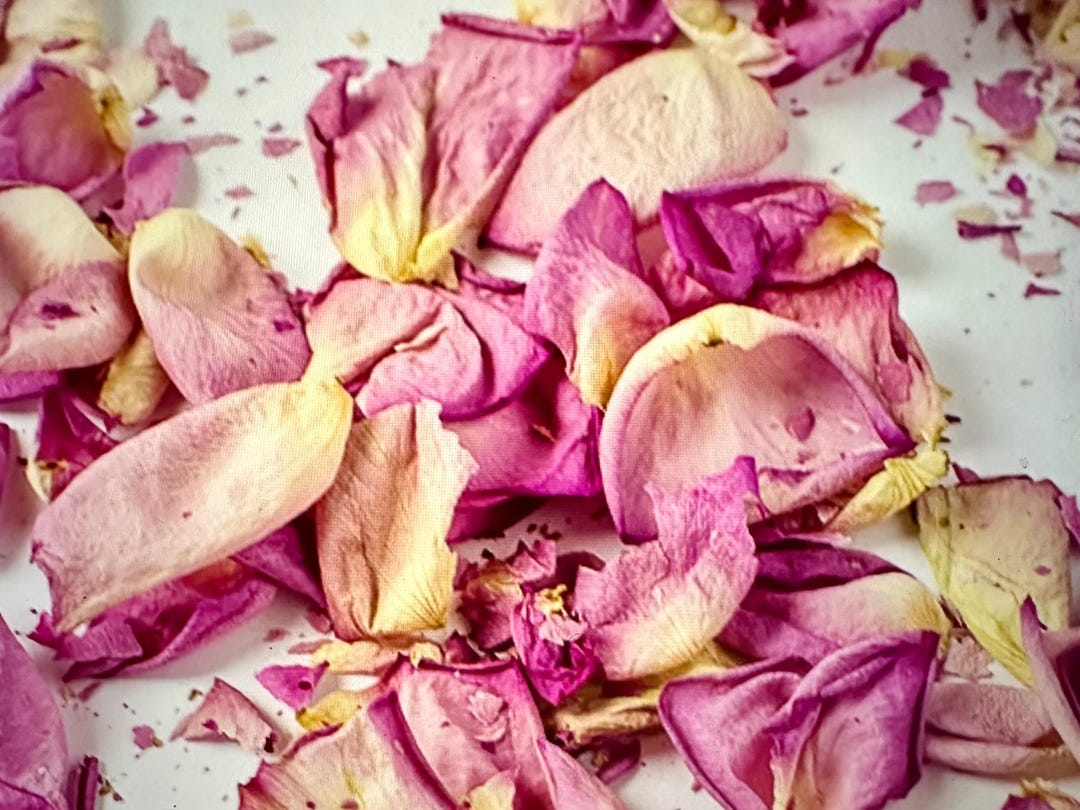 Pink Dried Rose Petals - Etsy