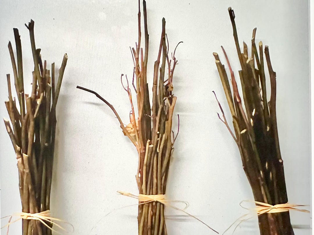 Dried Rose Stem Sticks - Etsy