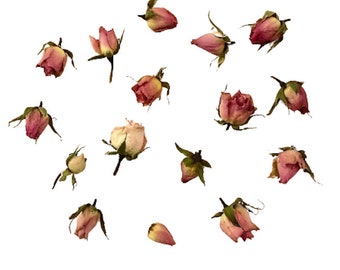 Dried Mini Roses - Etsy