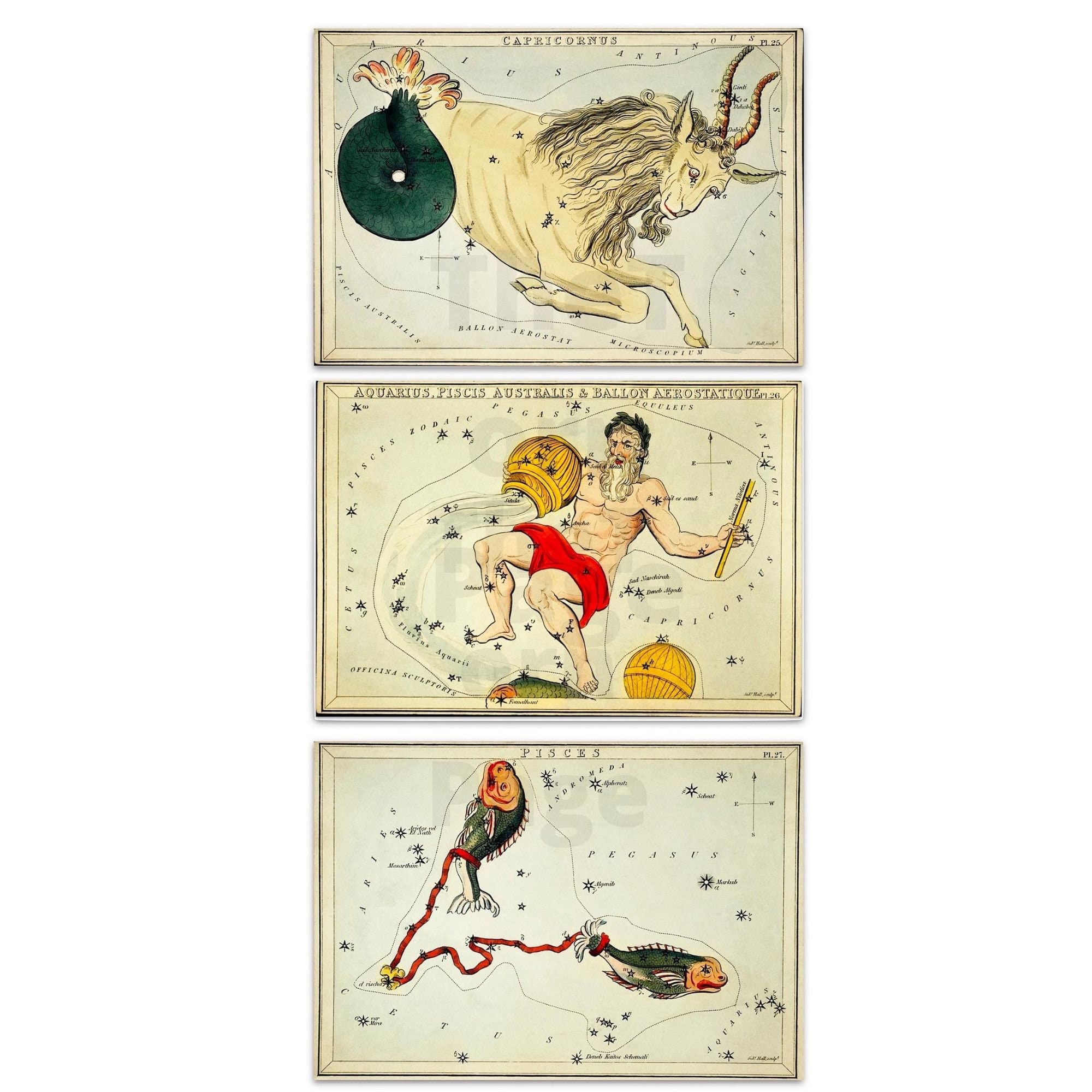 Beautiful Vintage Zodiac Signs Constellation Maps Antique - Etsy