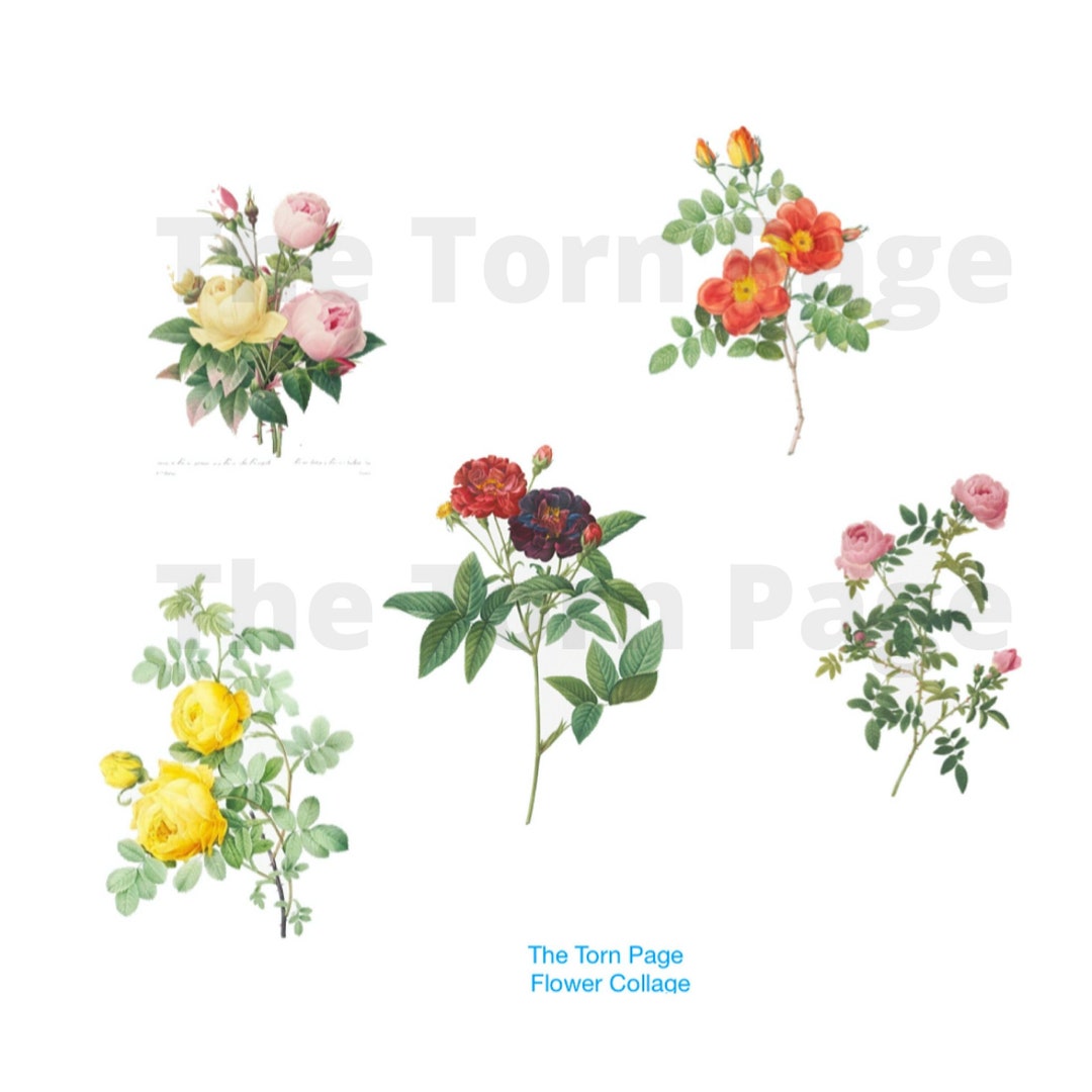 Vintage Flower Collage Sheets: Printable Ephemera (digital Download) - Etsy