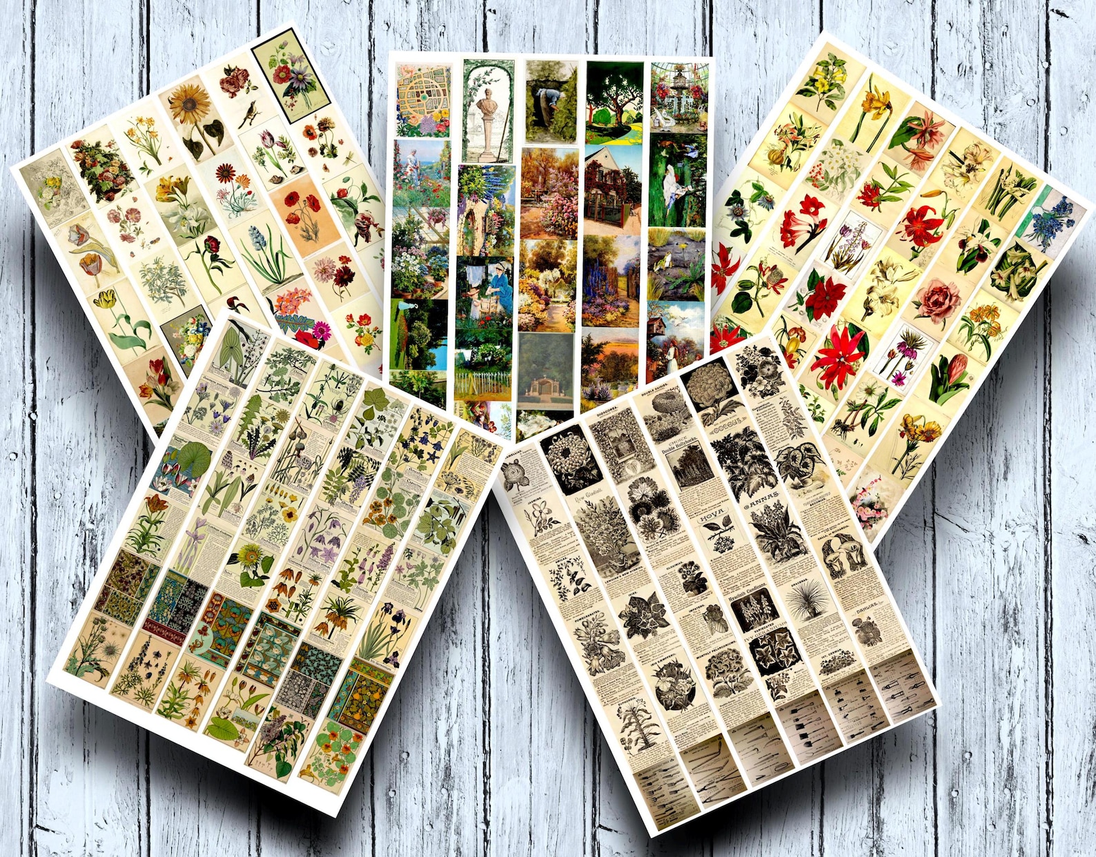 Vintage Flower Snippets: Sepia & Colour Ephemera (digital Download) - Etsy