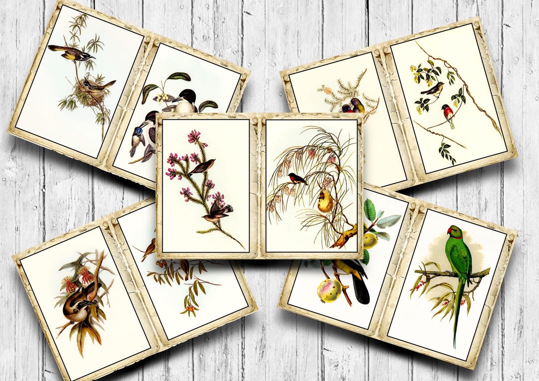 Vintage Bird Journal Pages: Printable Collage Ephemera (digital ...