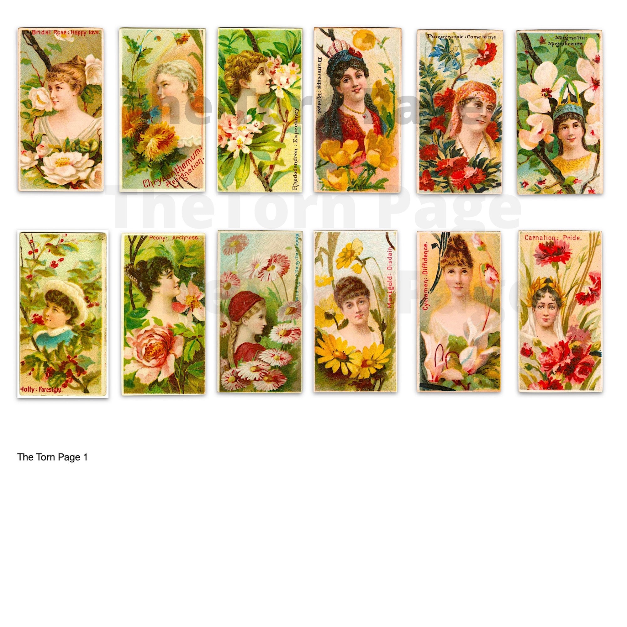 The Language of Flowers, Printable Vintage Faux Tea Cards, Commercial ...