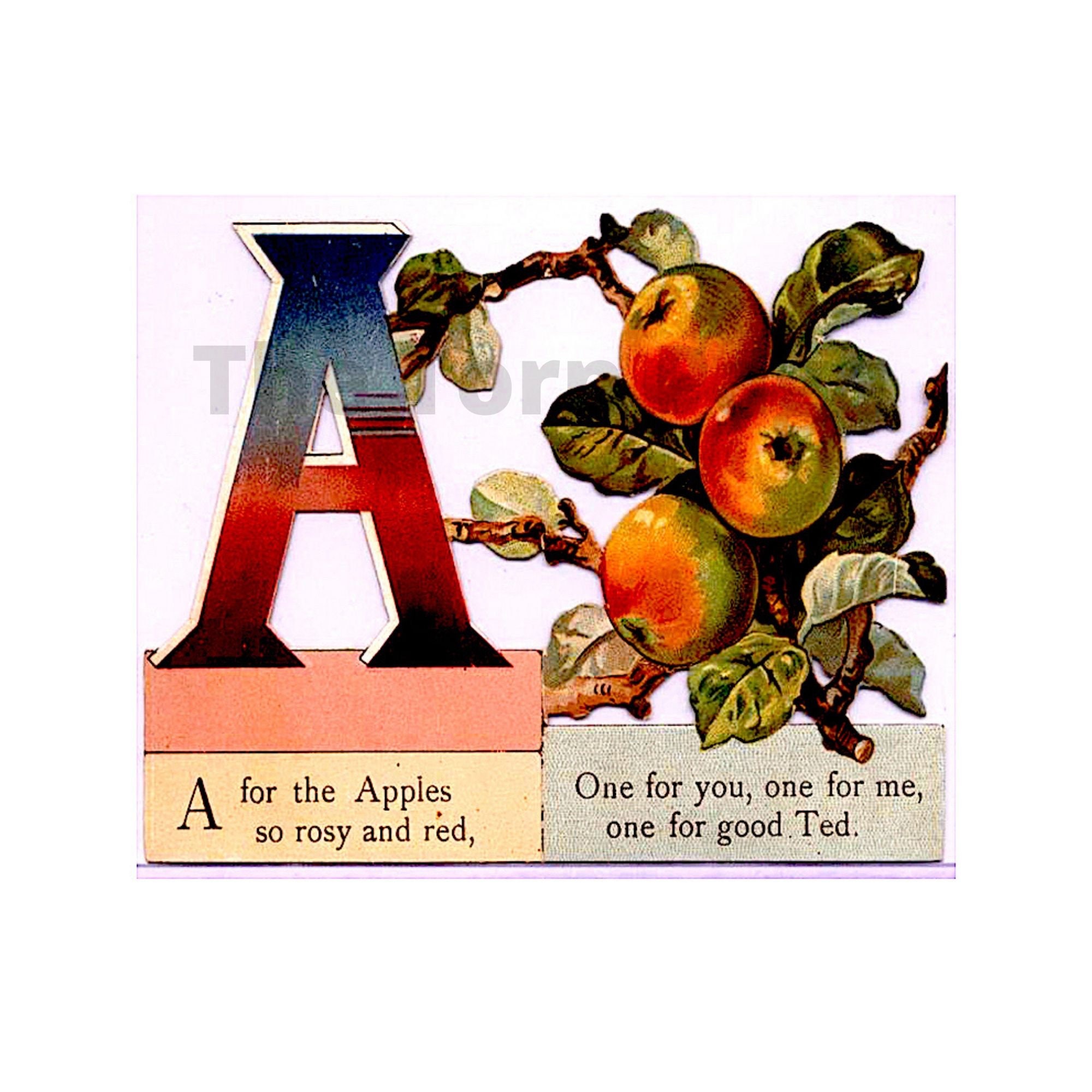 Vintage Alphabet Flashcards Digital Alphabet Papers Fussy - Etsy