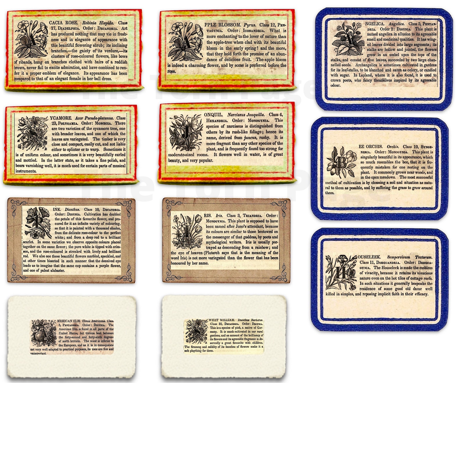 The Expert Botanist Kit Vintage Printable Labels Junk - Etsy