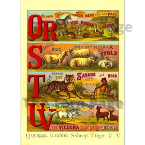 Vintage Animal Alphabet Flashcards, Shabby Chic Digital Collage Papers ...