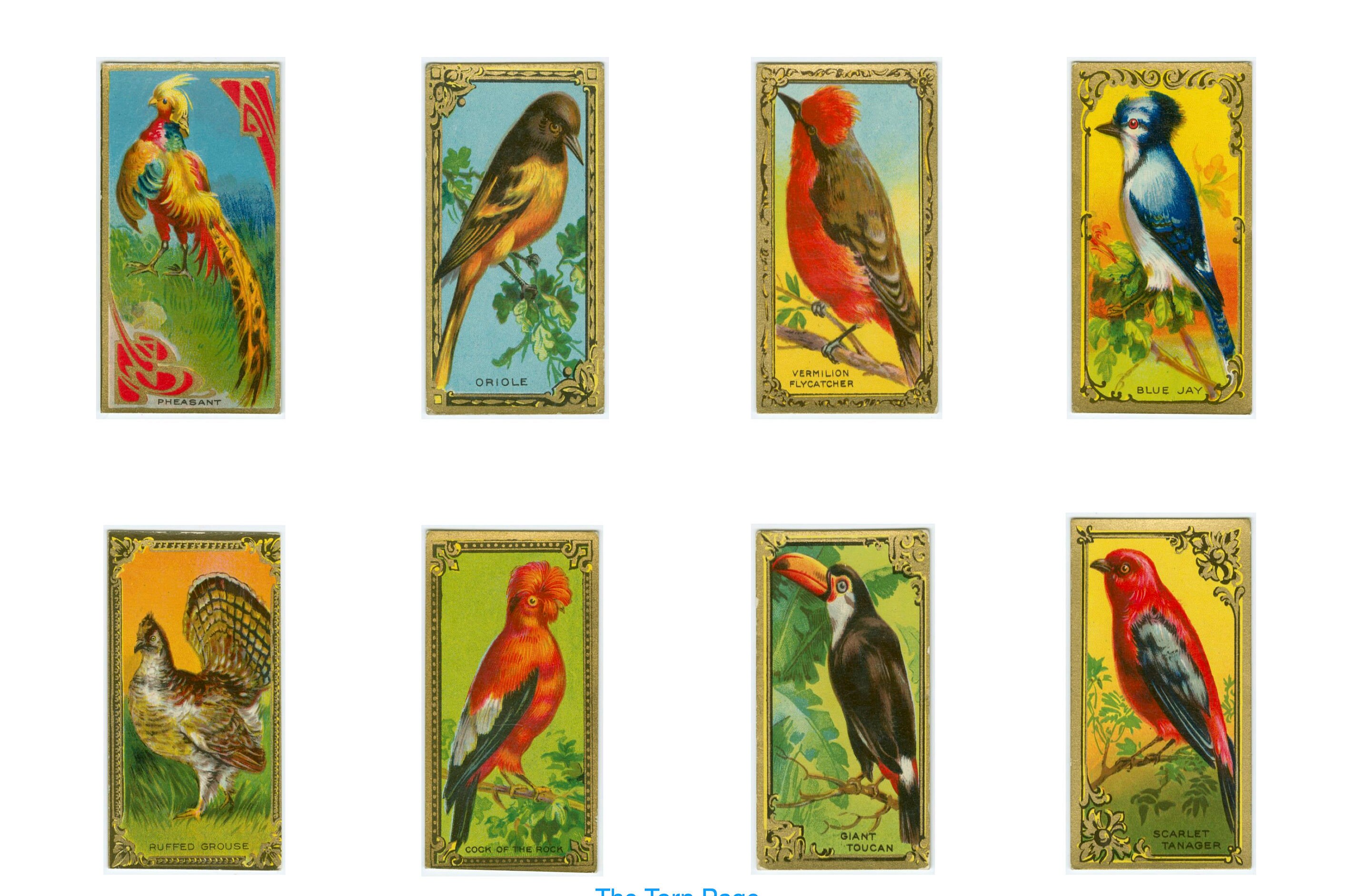 Vintage Birds Digital Tea Cards 8.5x11 & A4 Sizes Digital - Etsy UK