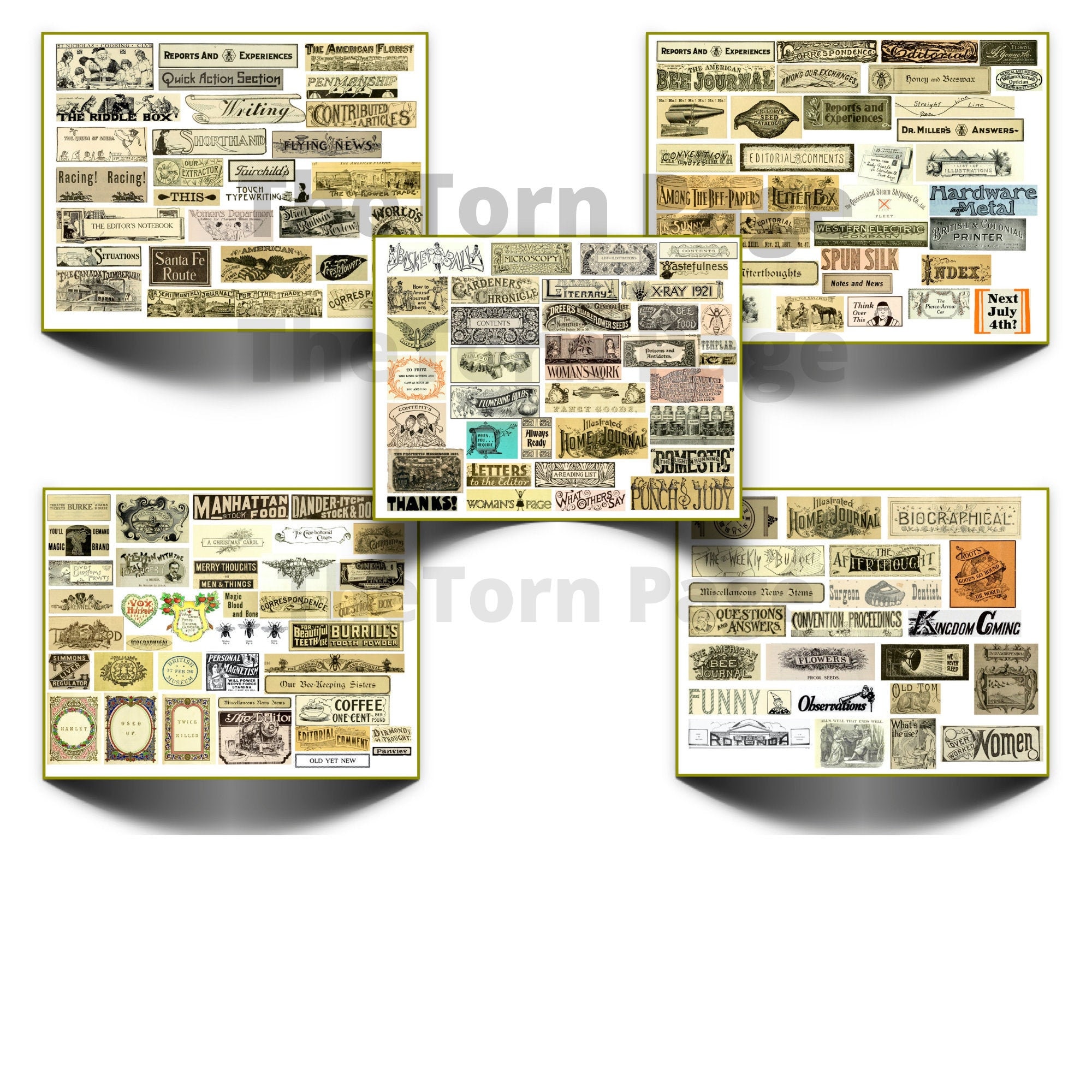 Vintage Script Labels Pack 1 Eclectic Mix of Digital - Etsy