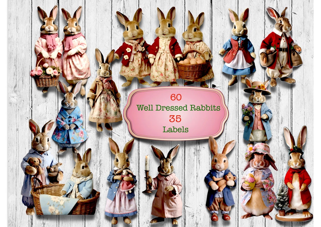Clip Art, Fussy Cut Well Dressed Rabbits, 80 Rabbits Dressed for Almost ...