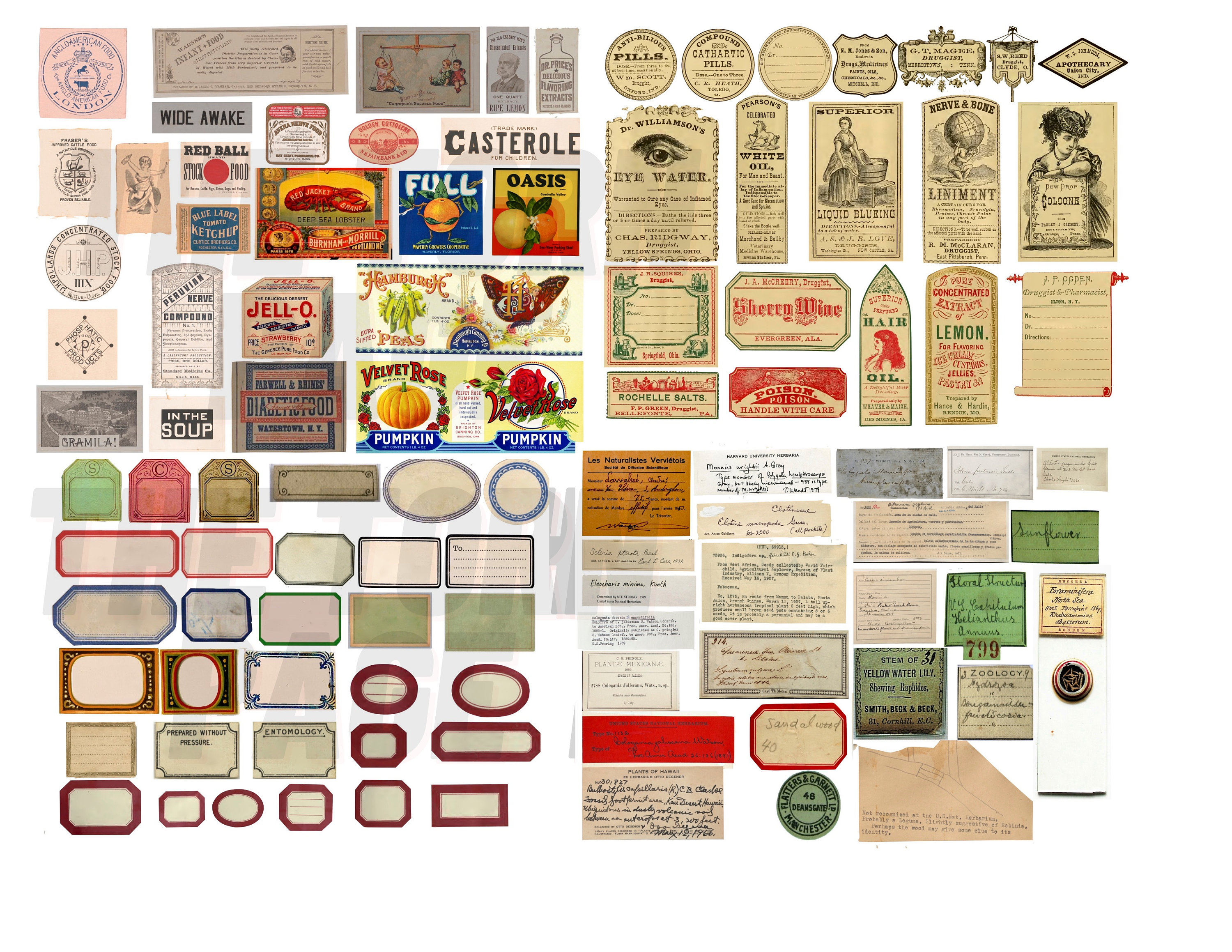 DIY Vintage Amateur Label Collectors Kit 26 Pages of Vintage | Etsy