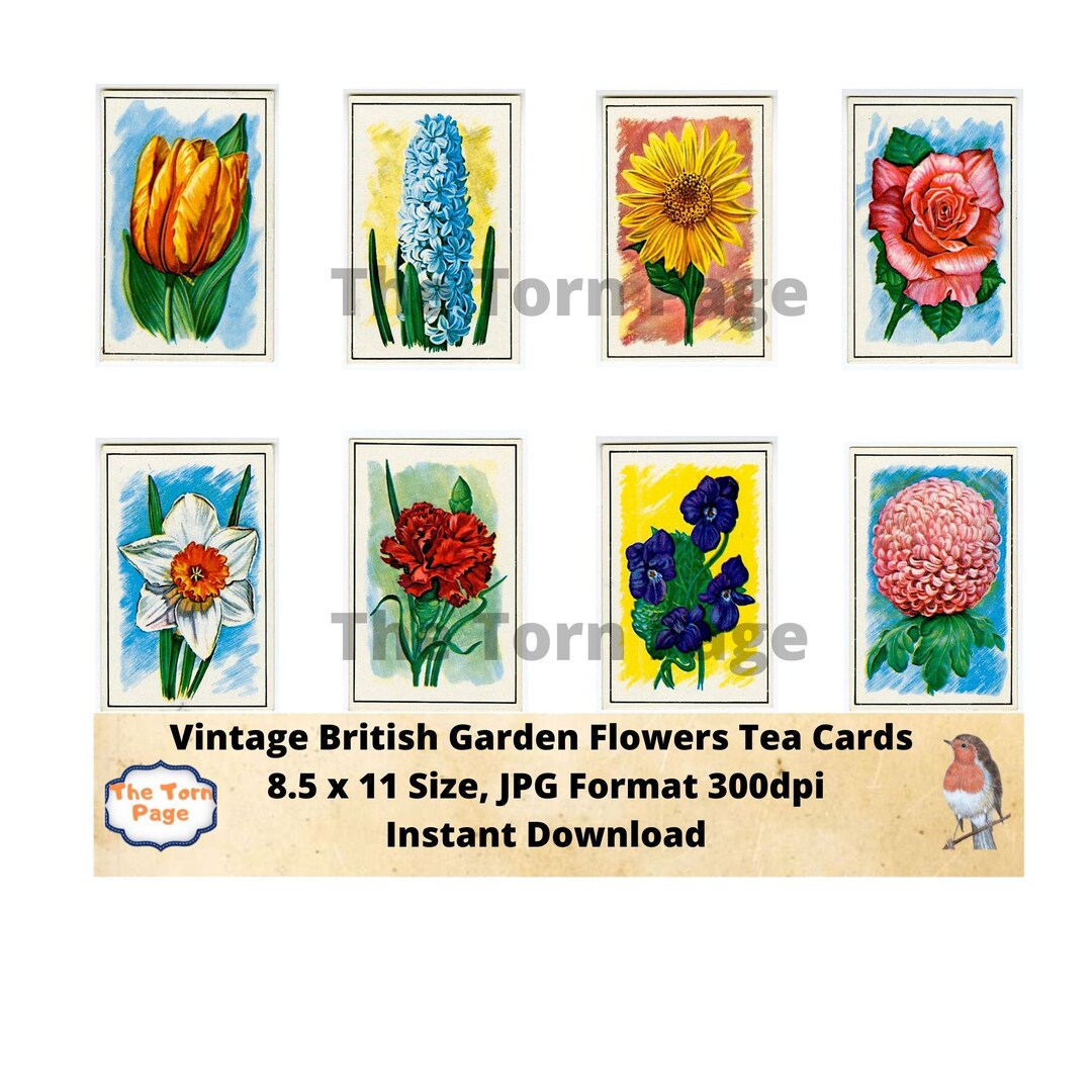 Vintage Digital Tea Cards, , Digital Ephemera, Printable Tea Cards ...