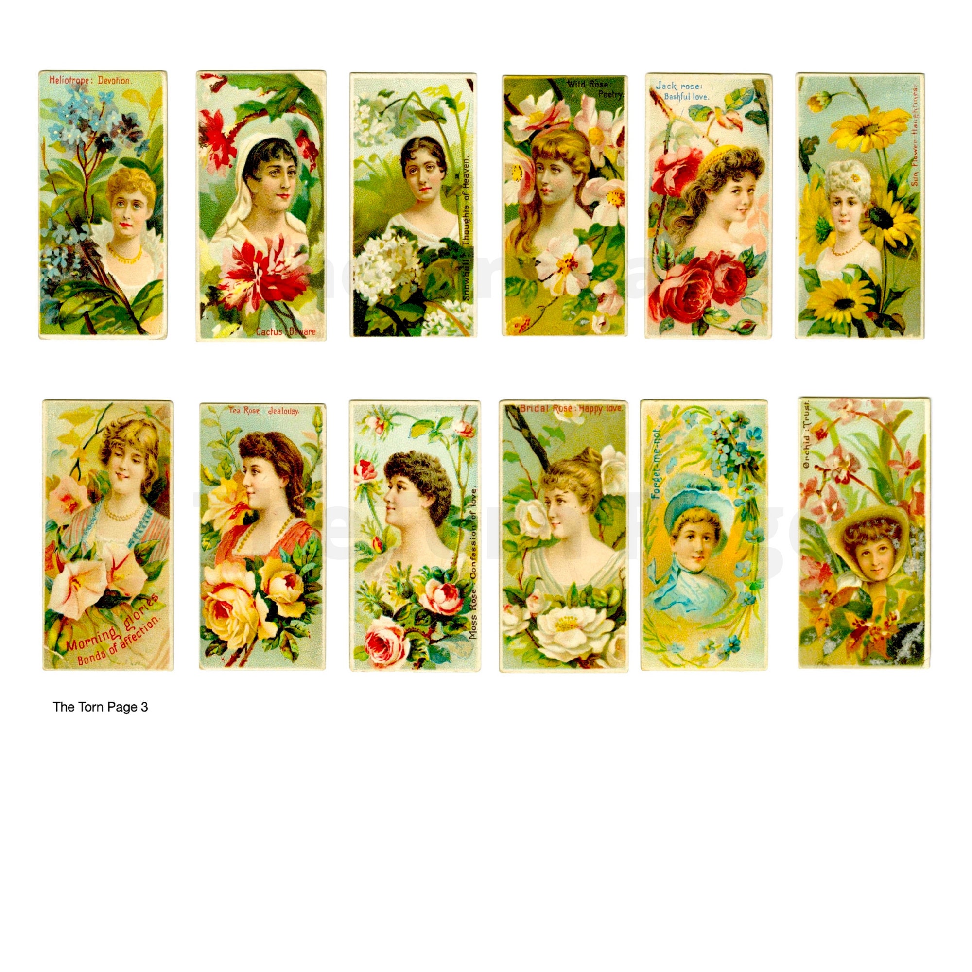 The Language of Flowers, Printable Vintage Faux Tea Cards, Commercial ...