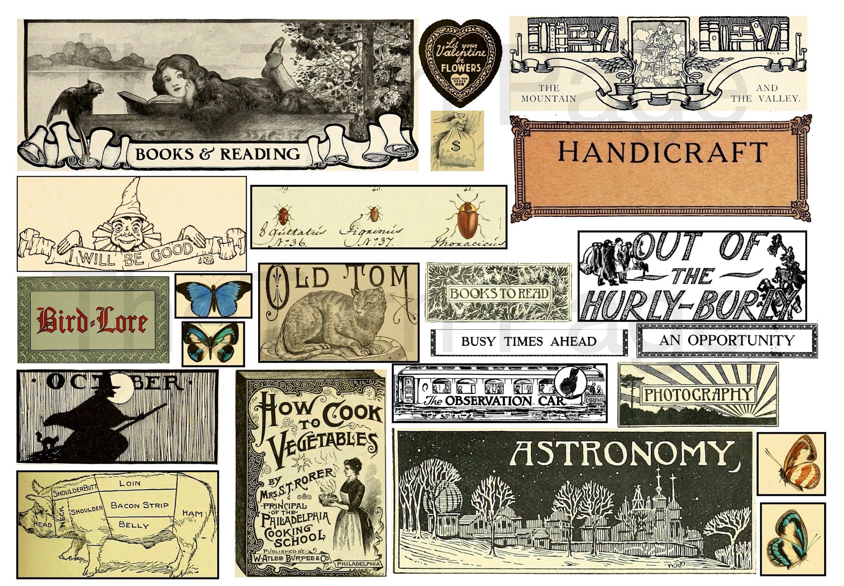 Vintage Script Labels Pack3 Eclectic Mix of Digital - Etsy