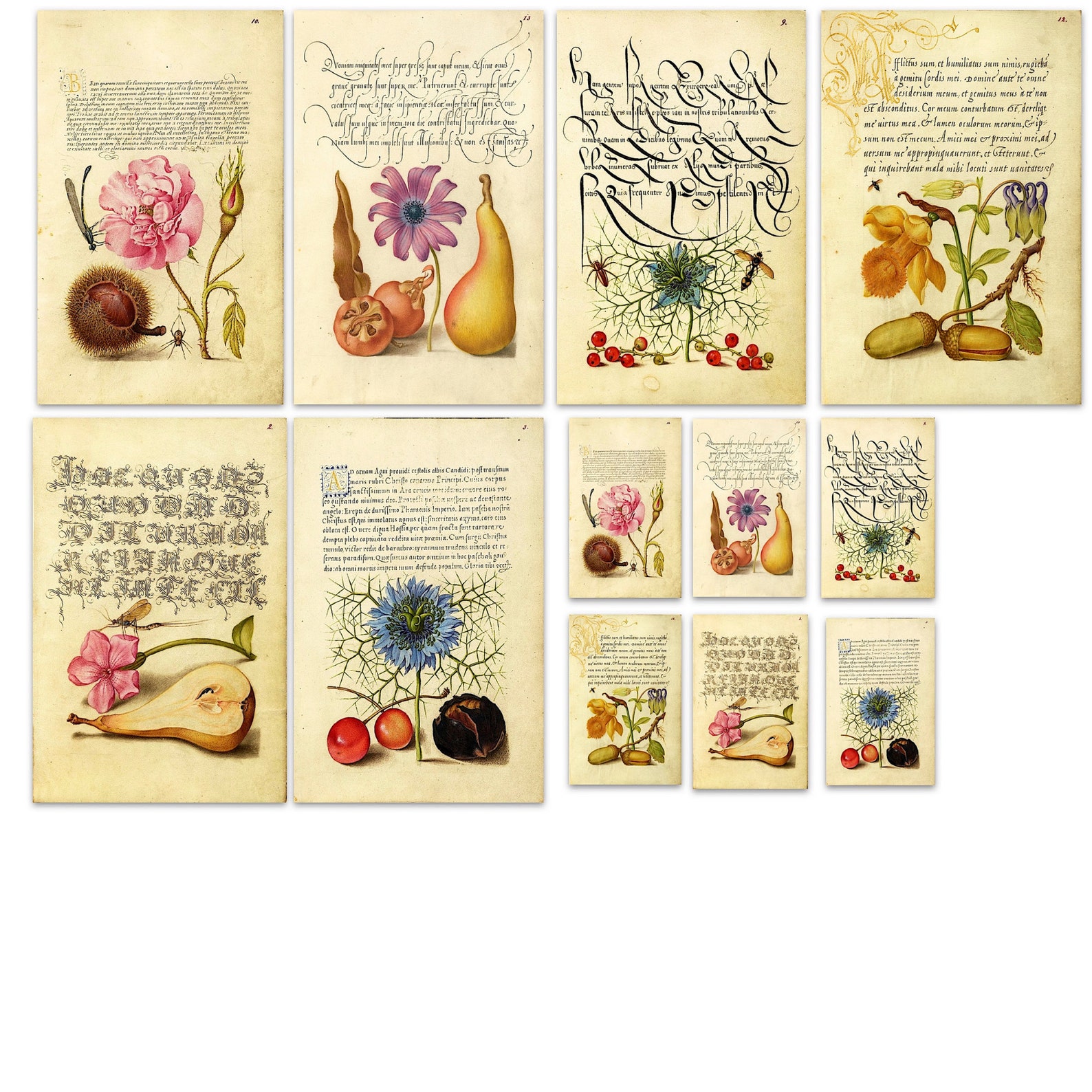 The Expert Botanist Kit Vintage Printable Labels Junk - Etsy