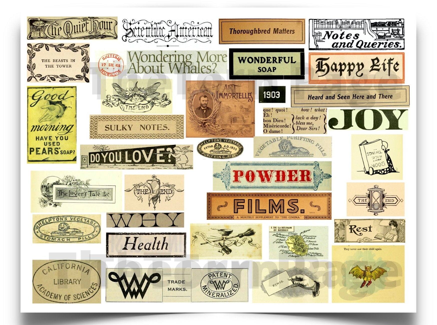 Vintage Script Labels Pack 2 Eclectic Mix of Digital - Etsy 日本