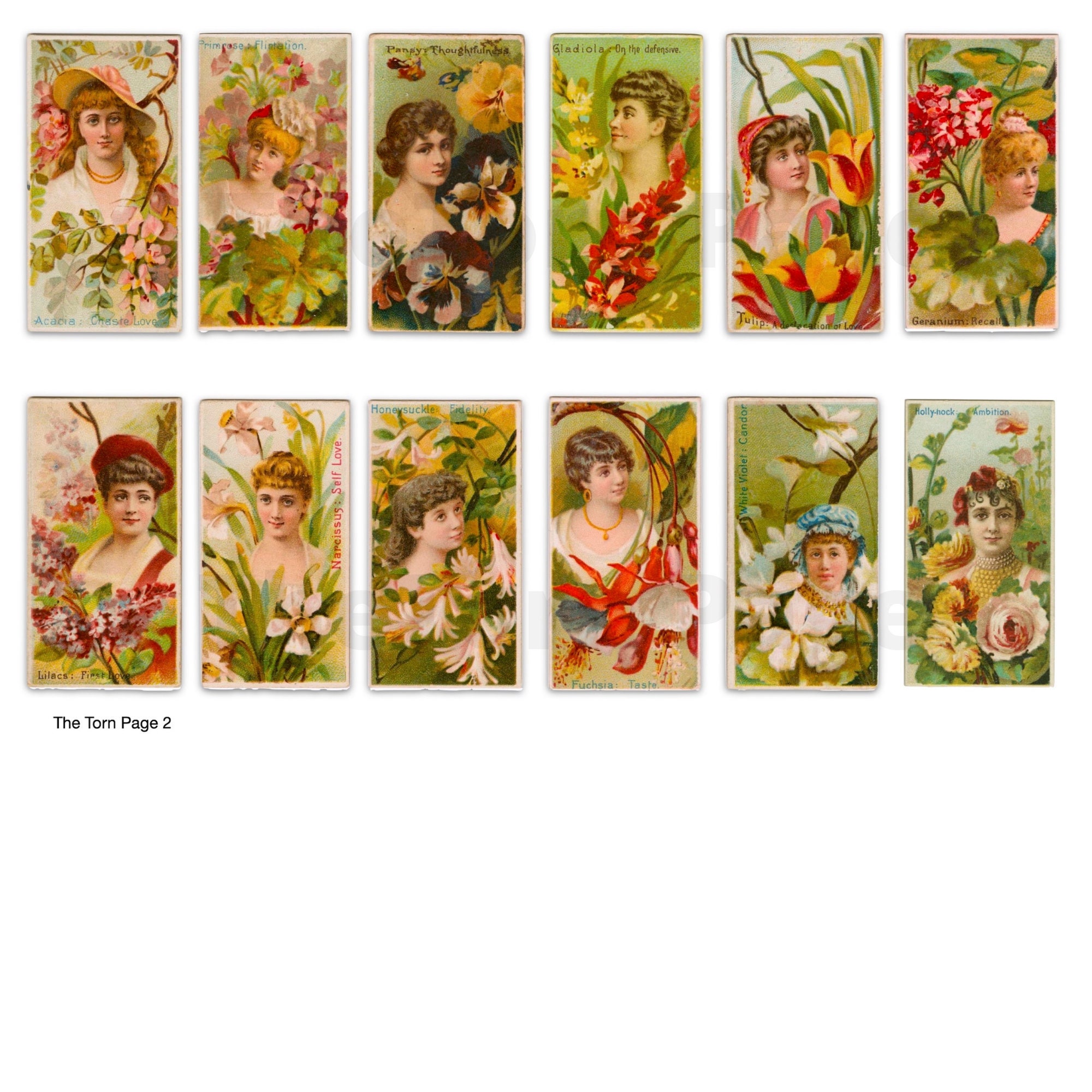The Language of Flowers, Printable Vintage Faux Tea Cards, Commercial ...