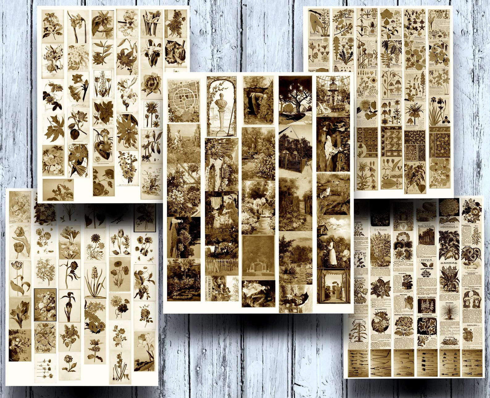 Vintage Flower Snippets: Sepia & Colour Ephemera (digital Download) - Etsy