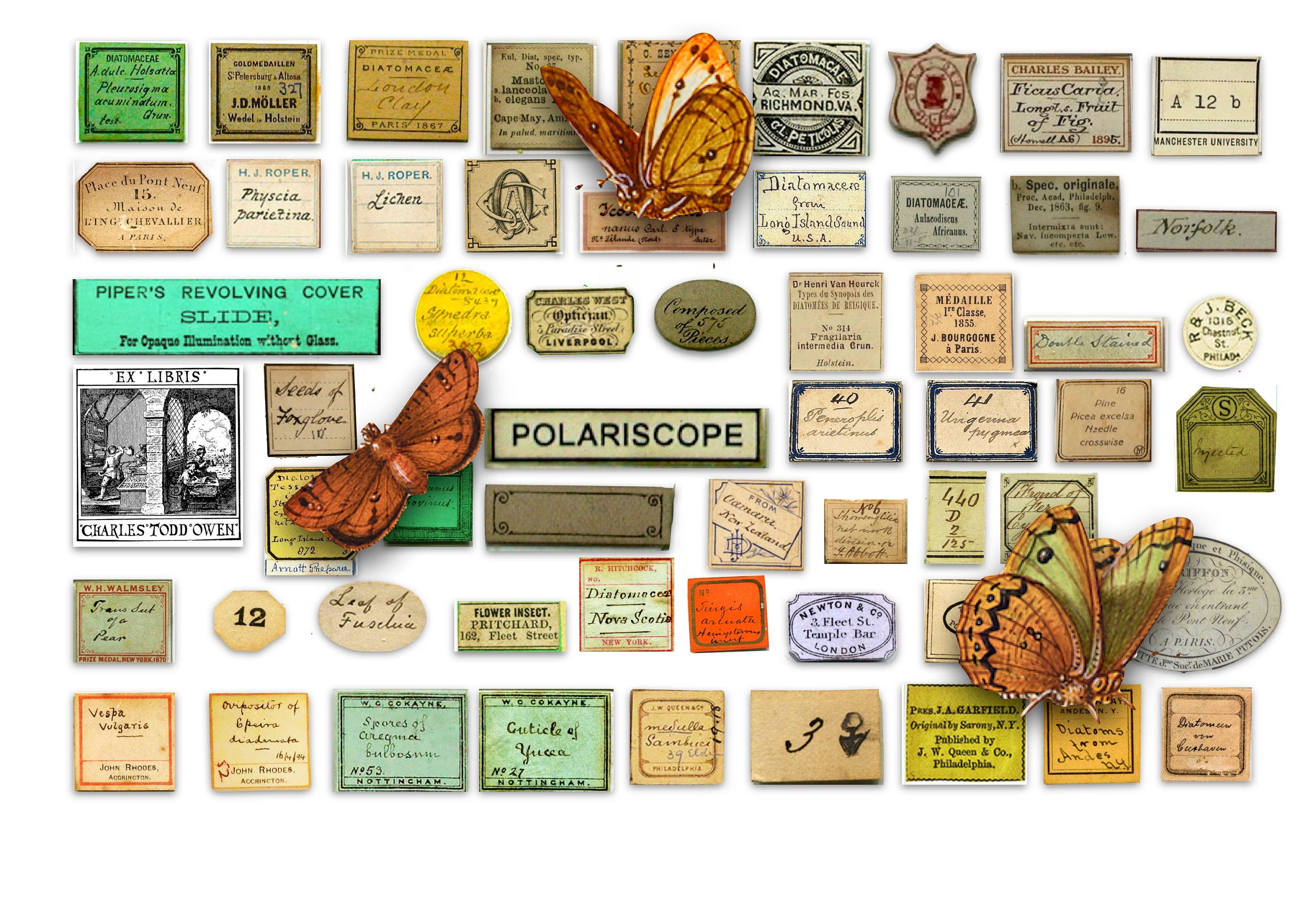 The Expert Botanist Kit Vintage Printable Labels Junk - Etsy