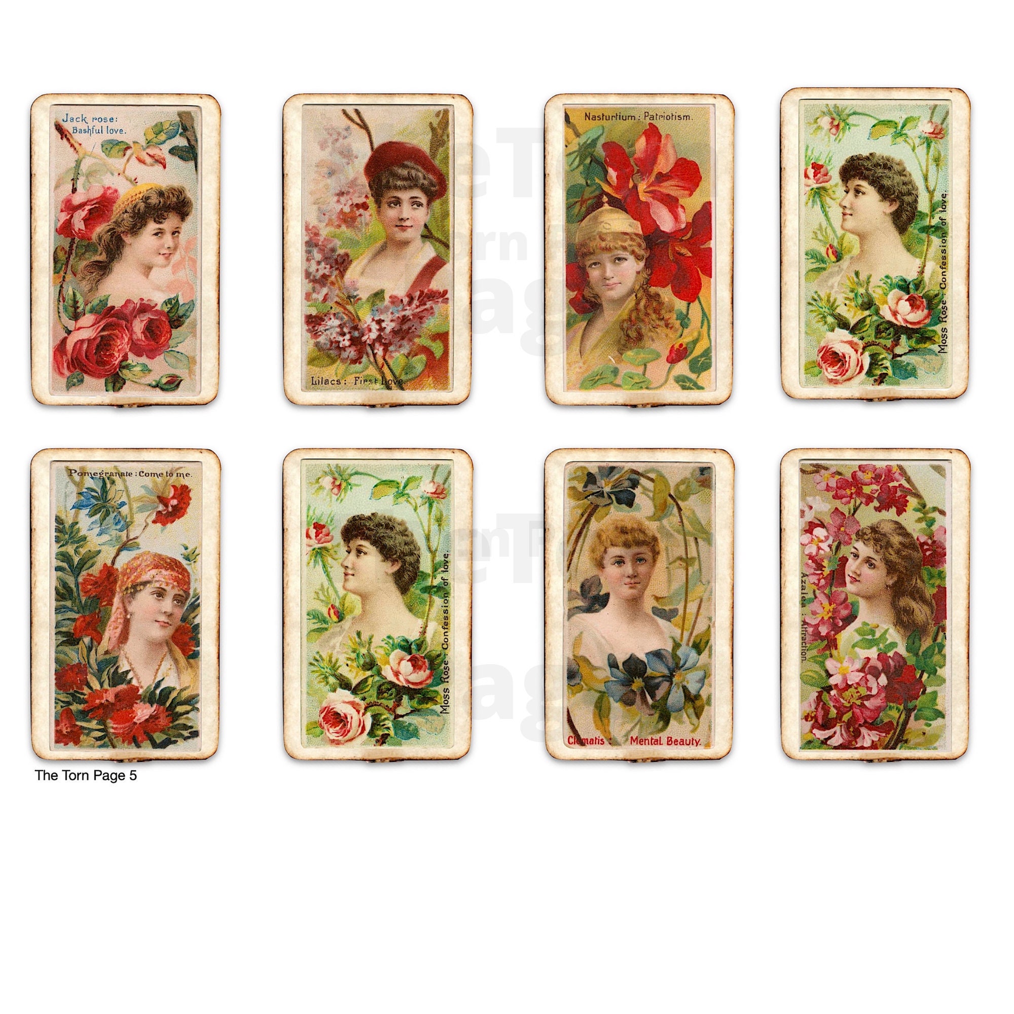 The Language of Flowers, Printable Vintage Faux Tea Cards, Commercial ...