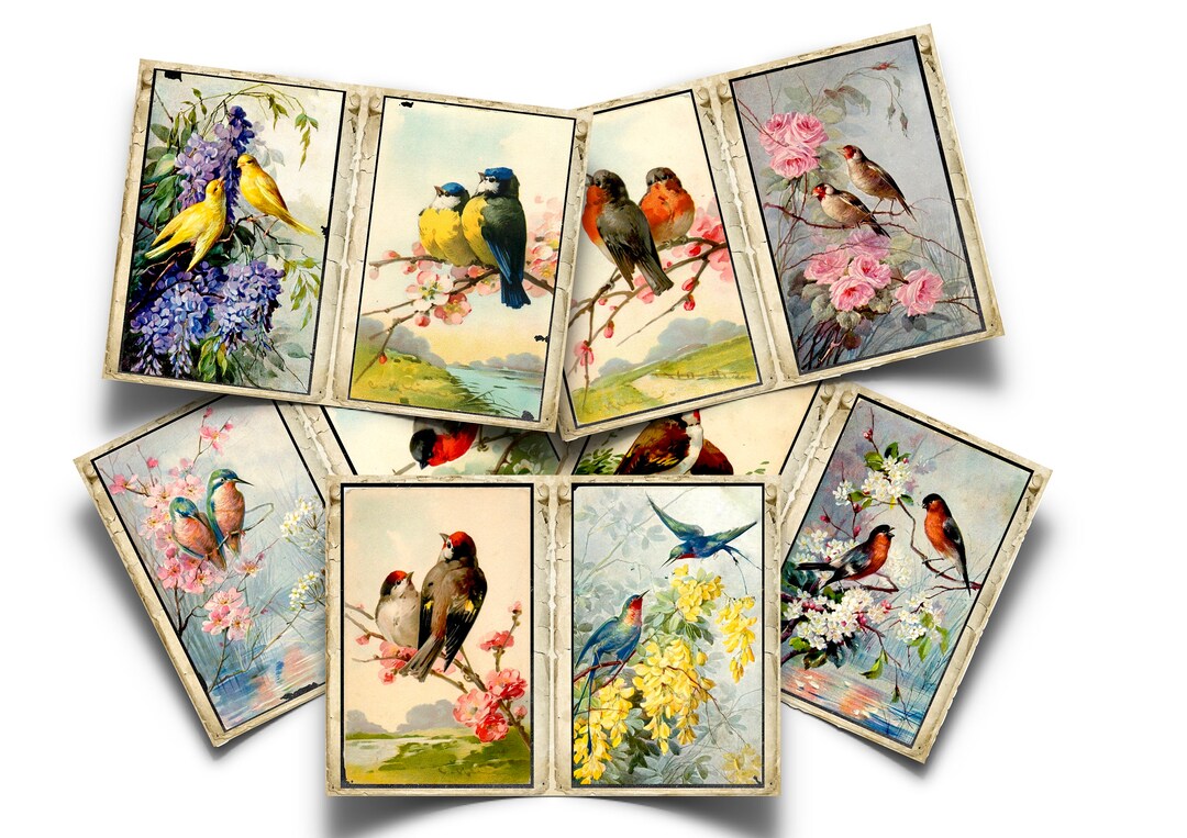 Set 1 - Vintage Birds and Flowers Journal Pages, Collage Papers ...