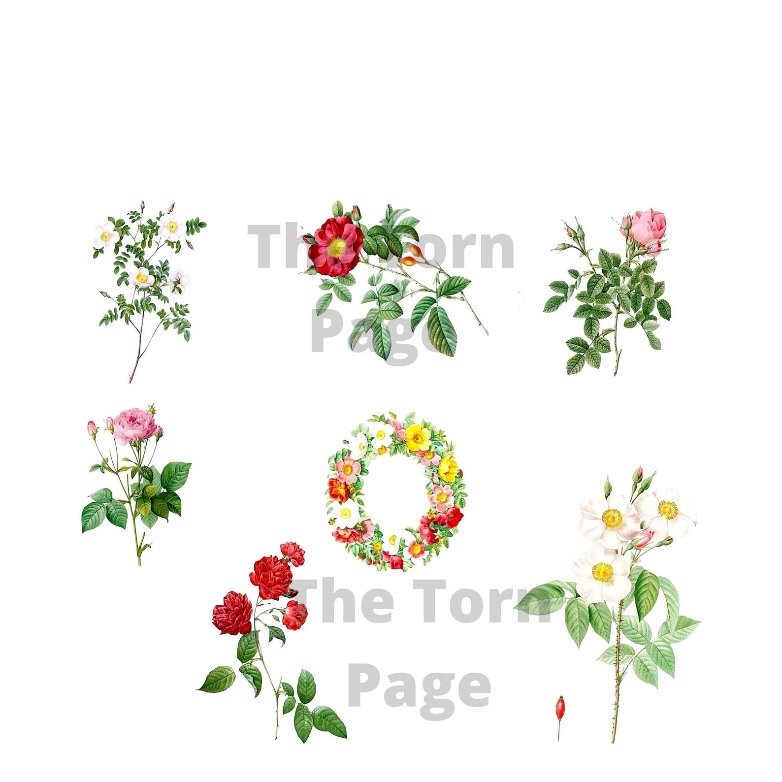 Vintage Flower Collage Sheets: Printable Ephemera (digital Download) - Etsy