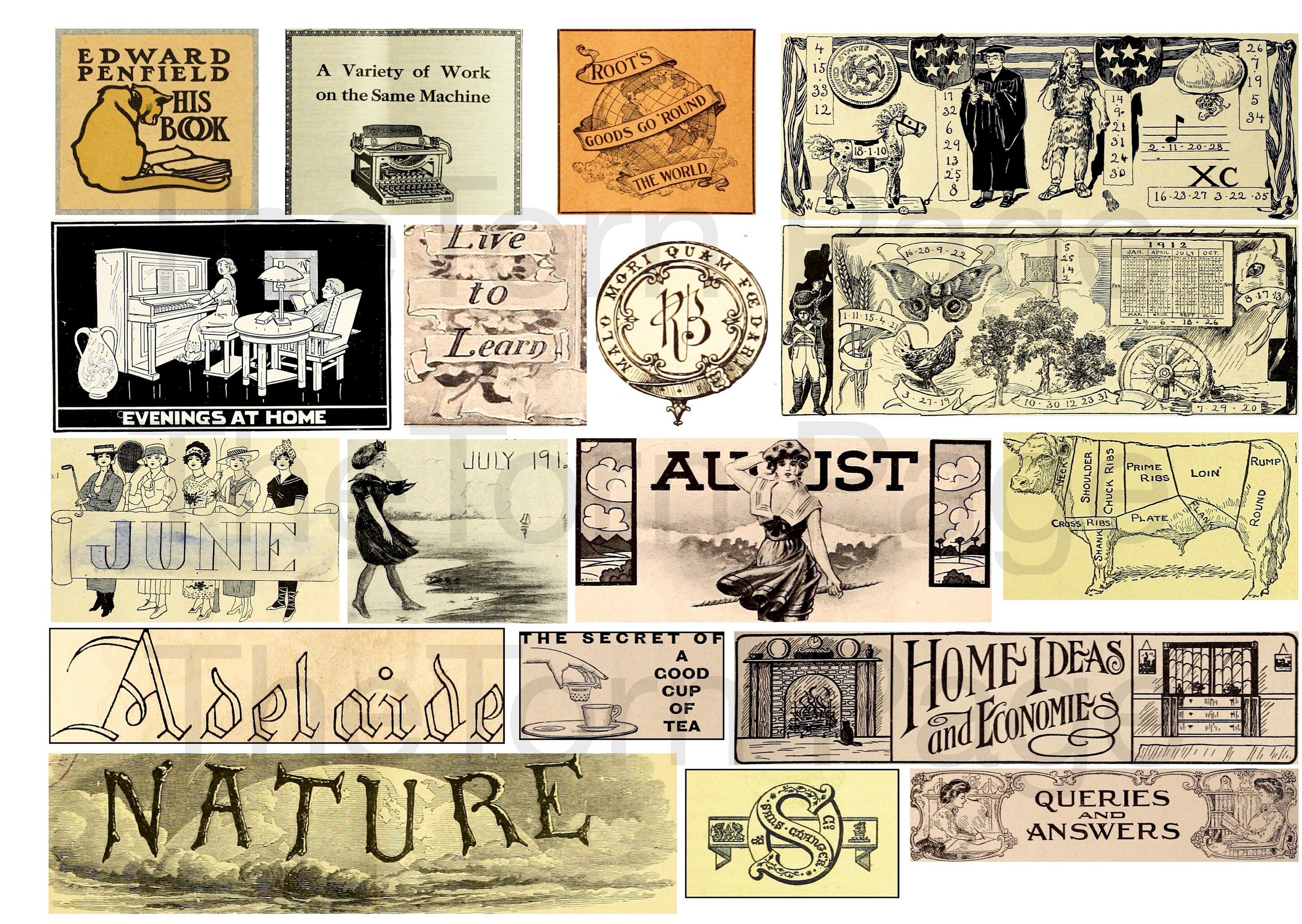 Vintage Script Labels Pack3 Eclectic Mix of Digital - Etsy